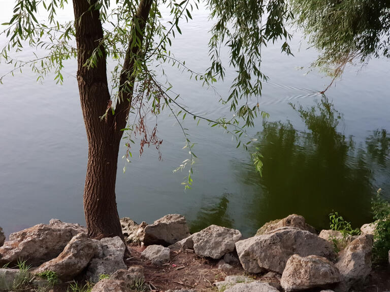 Chalcedon | The Predetermined Life of Man